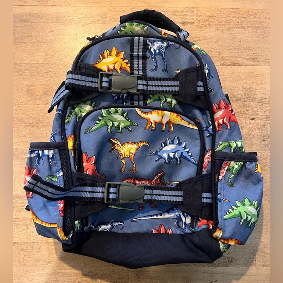 Pottery Barn Kids | Accessories | Pottery Barn Kids Dinosaur Backpack | Poshmark